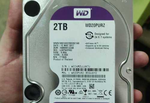 Жесткие диски 2 тб WD Purple