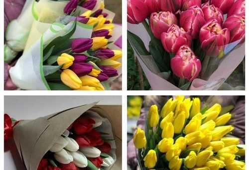 Букеты из тюльпанов, тюльпаны в розницу к 8 марта