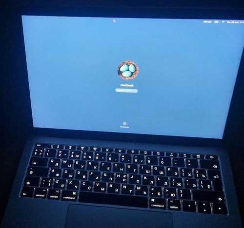 Apple macbook pro 13 2017