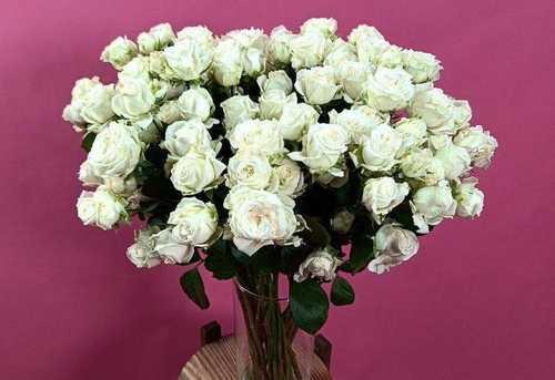 Букет кустовых пионовидных роз Мисс Бомбастик 25 ш