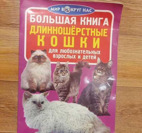 Большая книга про кошек