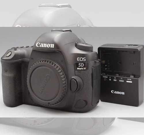 Canon EOS 5D Mark IV (33.000 кадров)