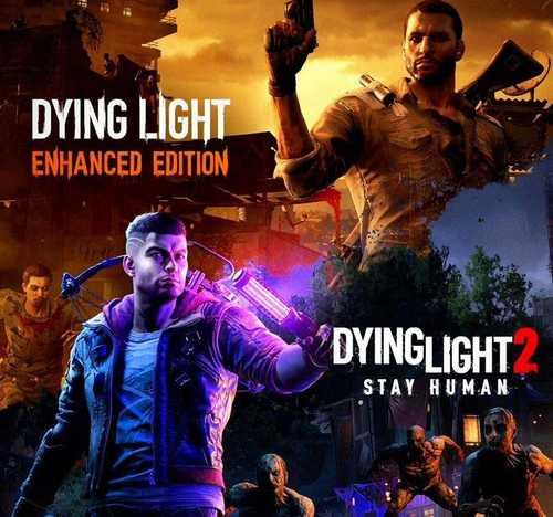 Dying light 2   Dying Light / Снг