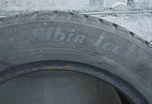 Matador MP 50 Sibir Ice 205/55 R16