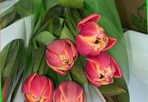 Очень красивые тюльпаны к международному женскому