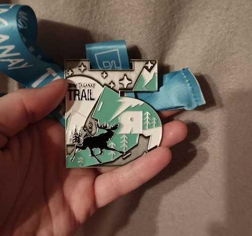 Медаль I run taganay 2024