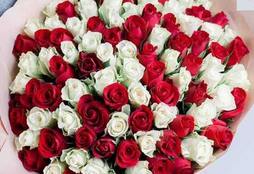 Букет из 101 красной и белой розы 40 см (Кения)