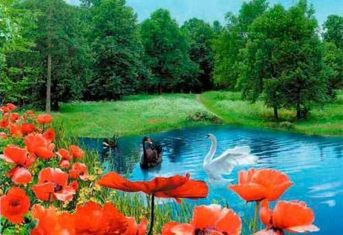 Фотообои пруд цветы лебеди природа