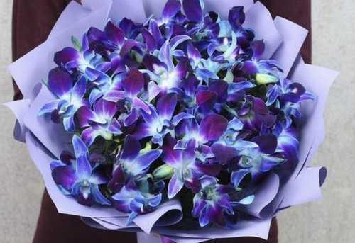 Букет тз синей орхидеи Дендробиум