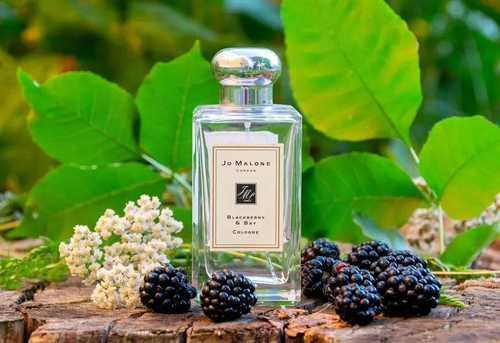 Blackberry & Bay Jo Malone London 5ml
