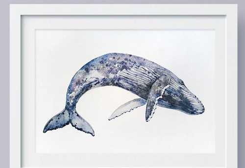 Картина, акварель. Горбатый кит