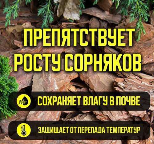 Кора лиственницы и сосны