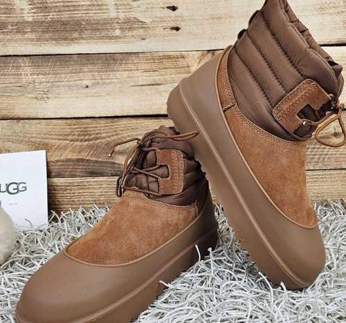 Ugg Classic Mini Lace-up Weather Chestnut оригинал