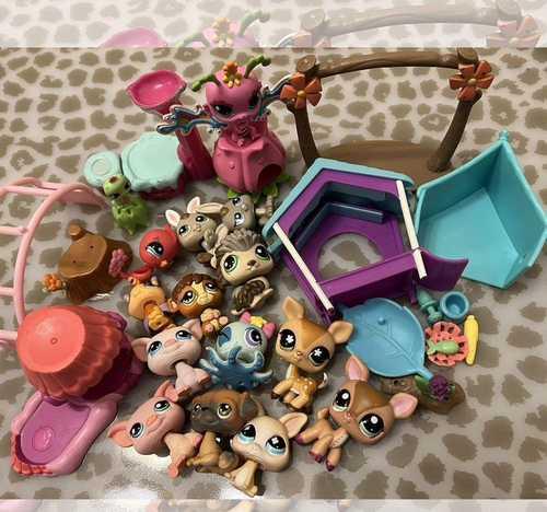 Littlest pet shop