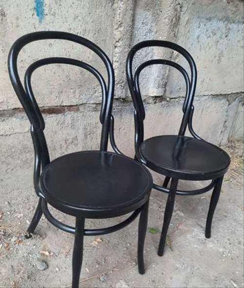 Старинные Венские стулья фабрики Войцеховъ
