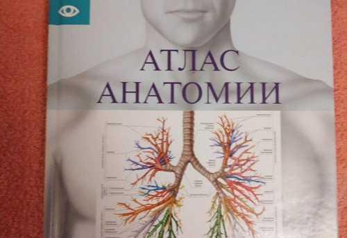 Атлас по анатомии человека