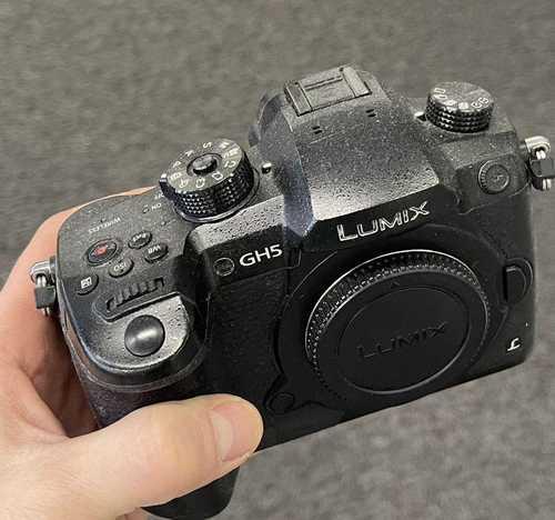 Фотоаппарат Panasonic DC-GH5 Lumix Body