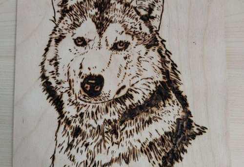 Сувенирная картина по выжиганию: волк