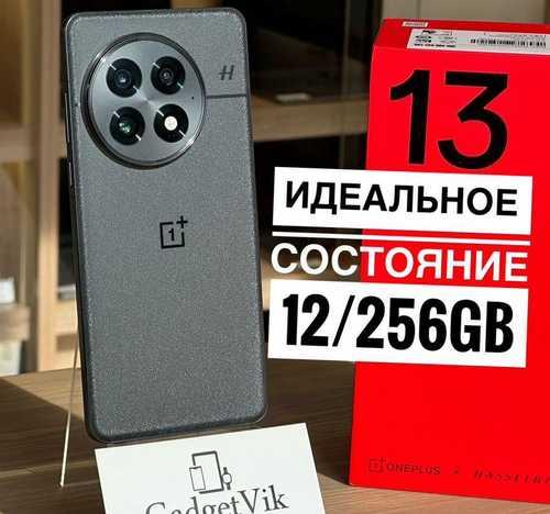 OnePlus 13, 12/256 ГБ