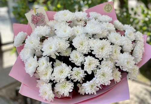 Большой букет хризантем/Цветы с доставкой
