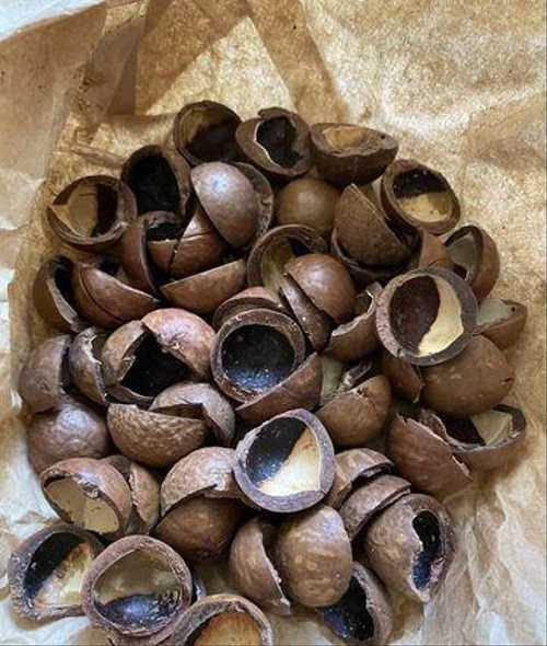 Скорлупа ореха макадамии