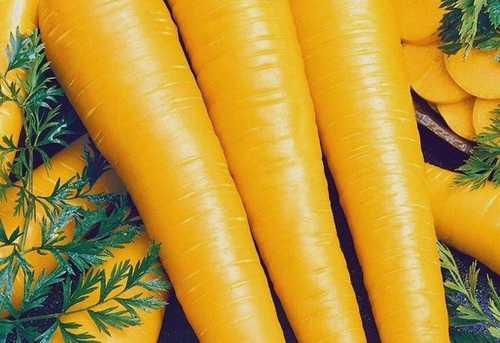 Морковь Чудо чудное (уд) 0,65 гр цв.п