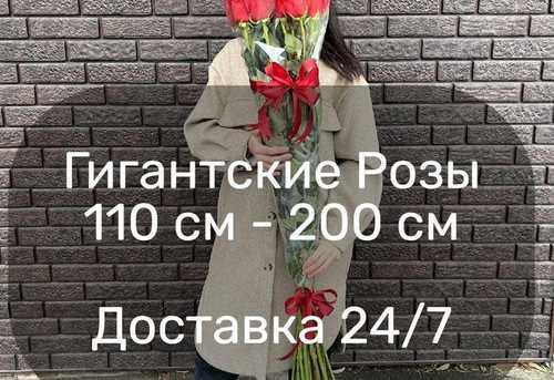 Гигантские розы букет цветов от 110 см