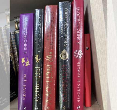 Книги Виногродского одним лотом