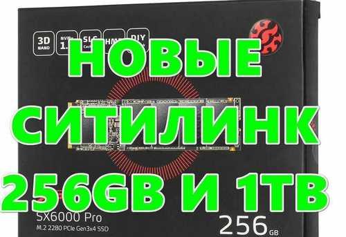 Новые adata XPG SX6000Pro M.2 256GB и 1TB Ситилинк