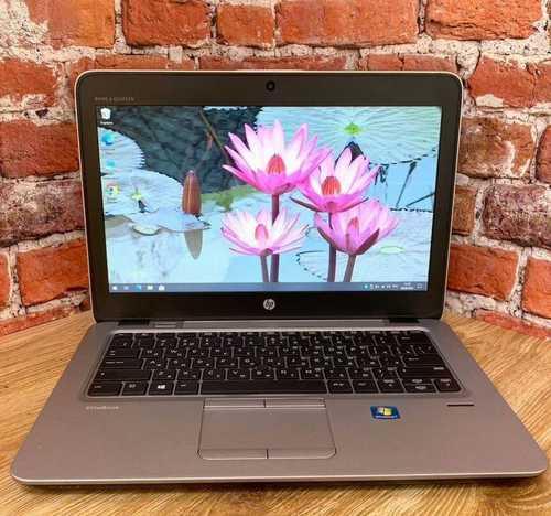 Ноутбук HP EliteBook 725 AMD A8 SSD для работы