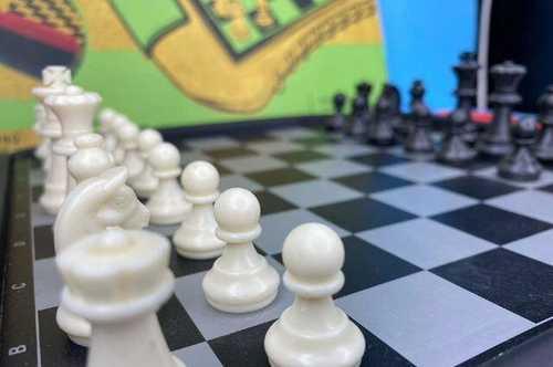 Шахматы магнитные chess