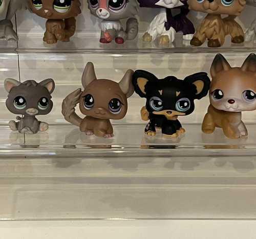 Littlest pet shop