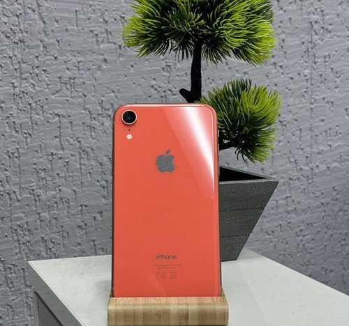 iPhone Xr, 256 ГБ