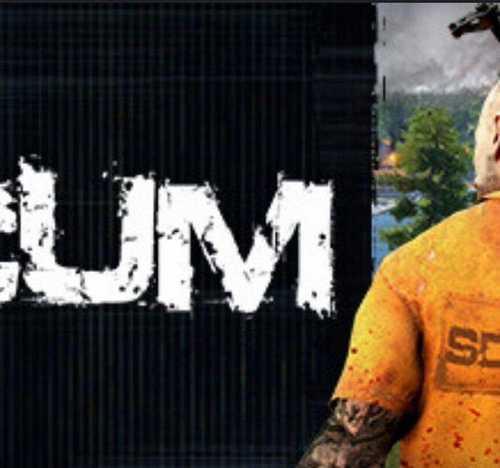 Scum, пополнение стима Steam