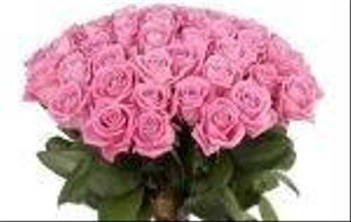 Букет из 49 розовых роз 60 см, цветы доставка