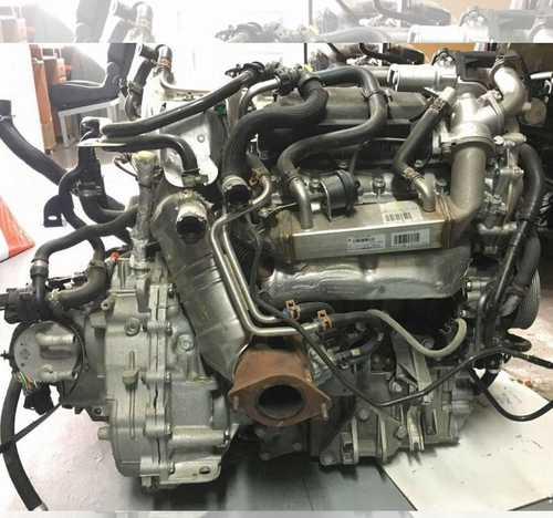 Двигатель 3.0 v6 DCI Nissan Navara Pathfinder V9X