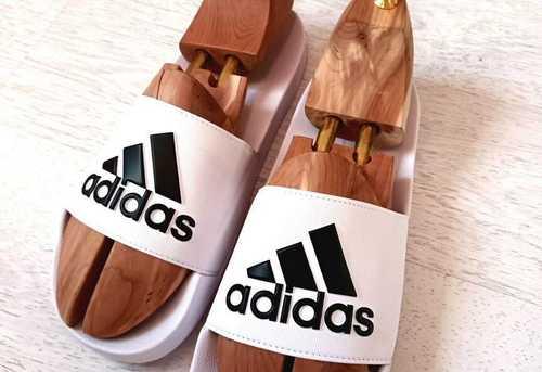 Шлепки мужские Adidas