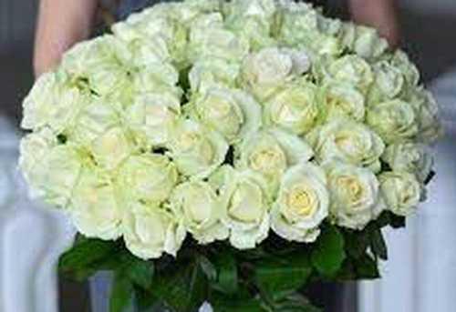 Букет Доставка Цветы Розы 51 101 45
