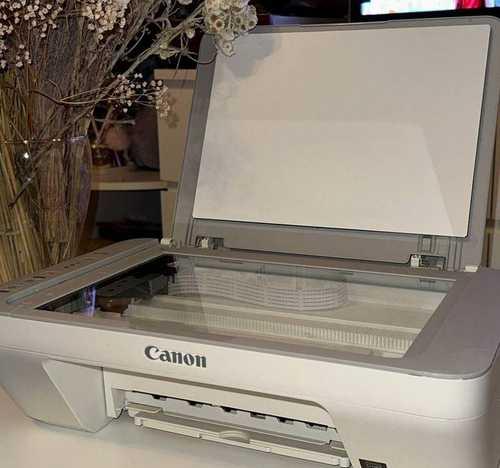Принтер Canon pixma mg2440