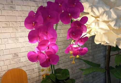 Орхидея фаленопсис, подарок, ночник, светильник