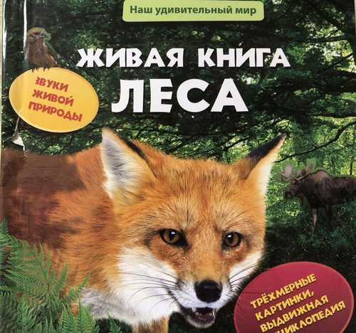 Детские книги 3D Живая книга леса