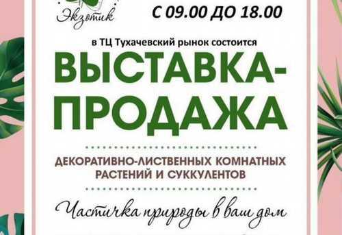 Выставка-продажа комнатных растений