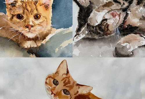 Картины акварель, кот, котенок