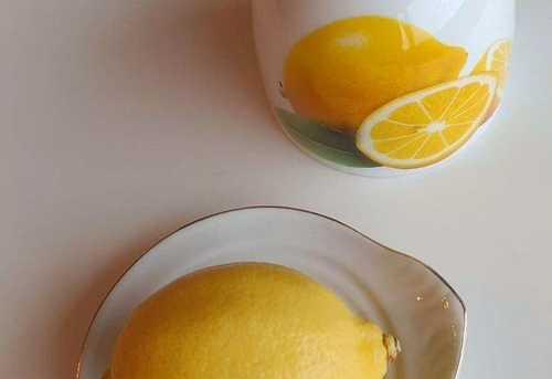 Лимонница новая