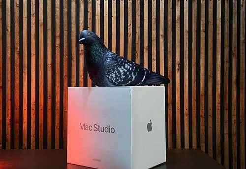 Apple Mac Studio M1Max 32/512 24GPU Rfb