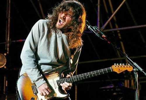 Электрогитара Frusciante caster