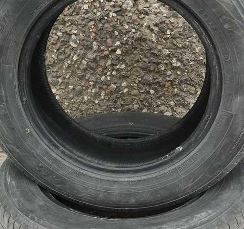 Toyo Proxes C1S 195/65 R15 91V