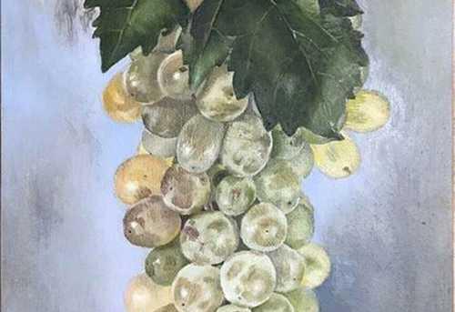 Картина "Виноградная гроздь"