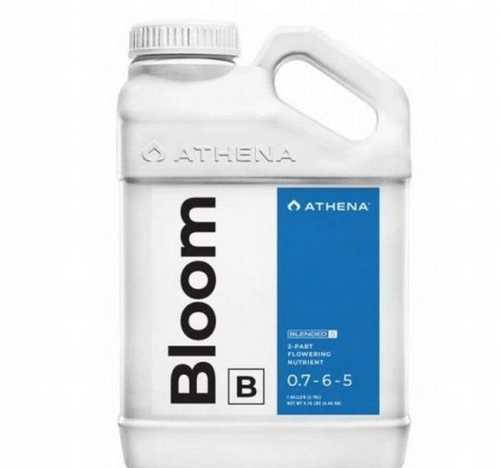 Athena Bloom B 946 мл