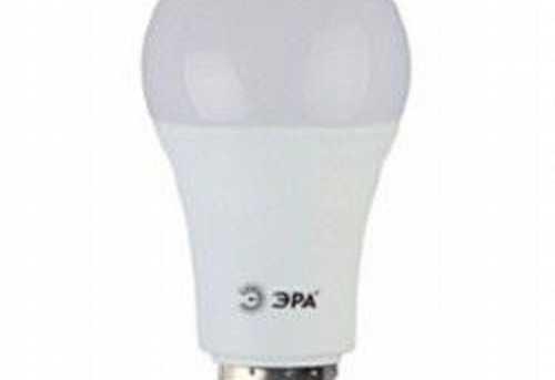 Эра Б0030910 Лампочка светодиодная STD LED A60-11W
